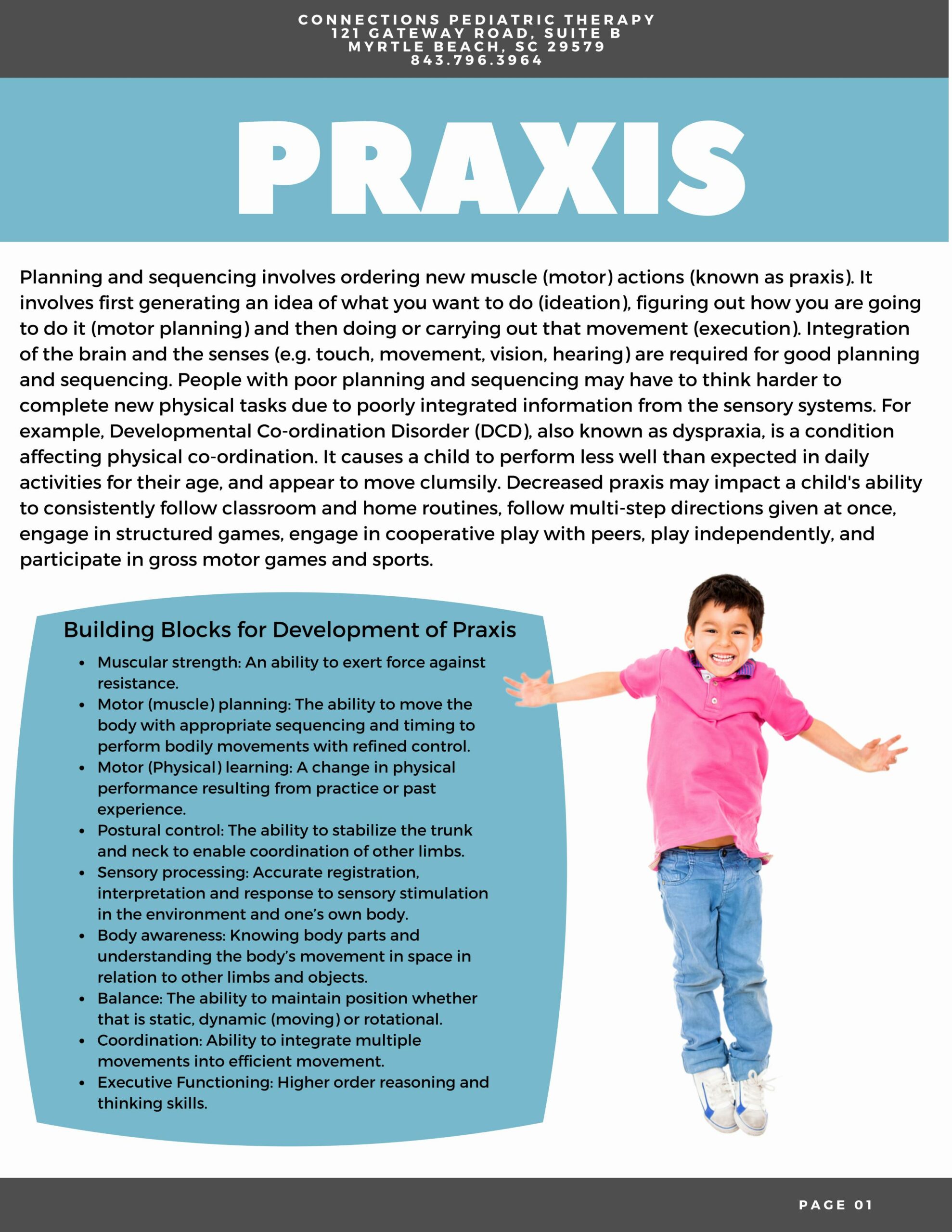 What is Praxis? – Connections Pediatric Therapy